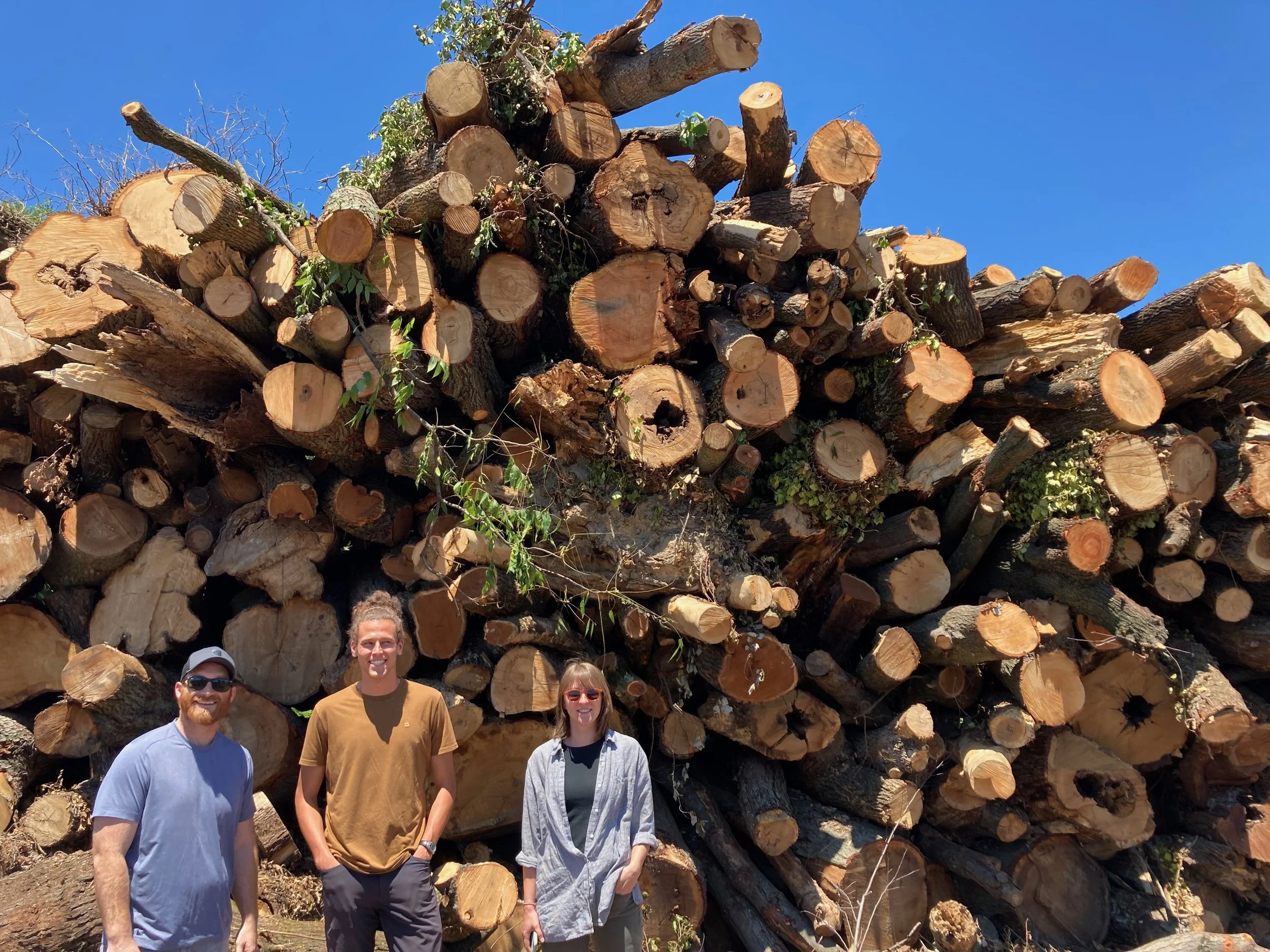 Cambium Carbon Releases ‚Reforestation Hub‘ Report Findings – NQETJ