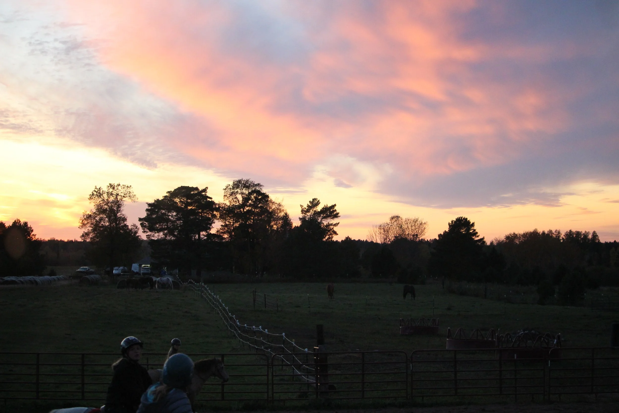 Boarding at Townline — Town Line Farms & Stable LLC