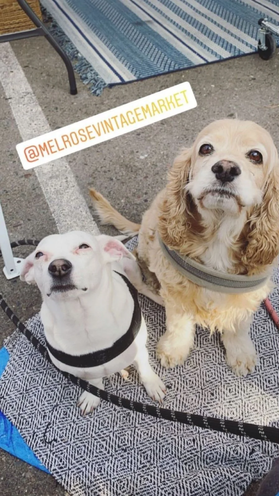 Melrose Vintage Market