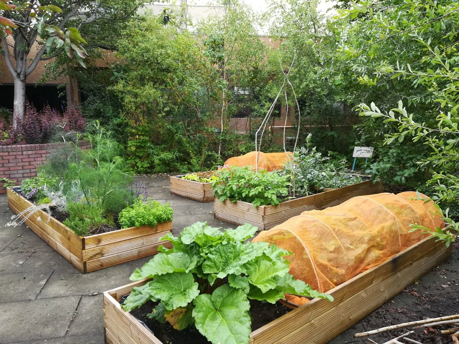 Urban Britain’s Potential as a ‘Grow your Own’ Nation. — Liverpool Food ...
