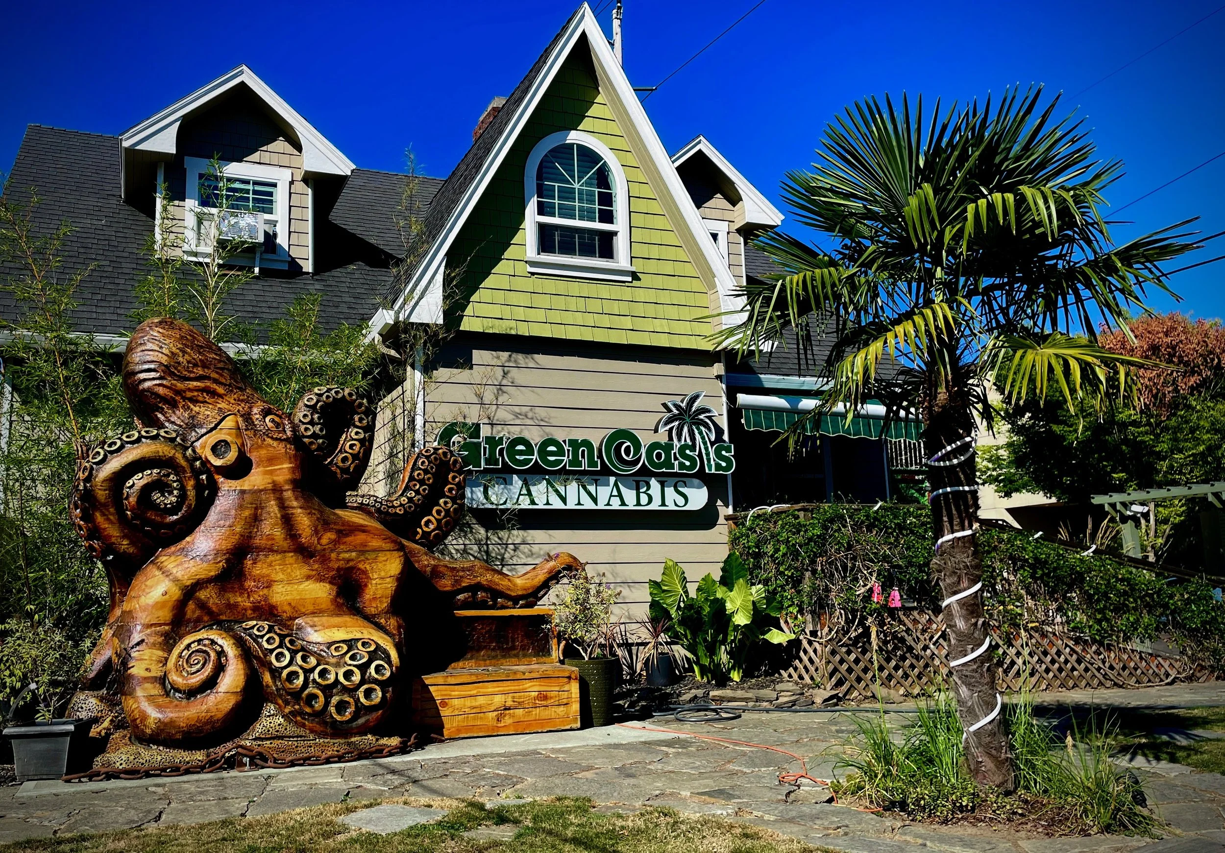 Green Oasis Cannabis