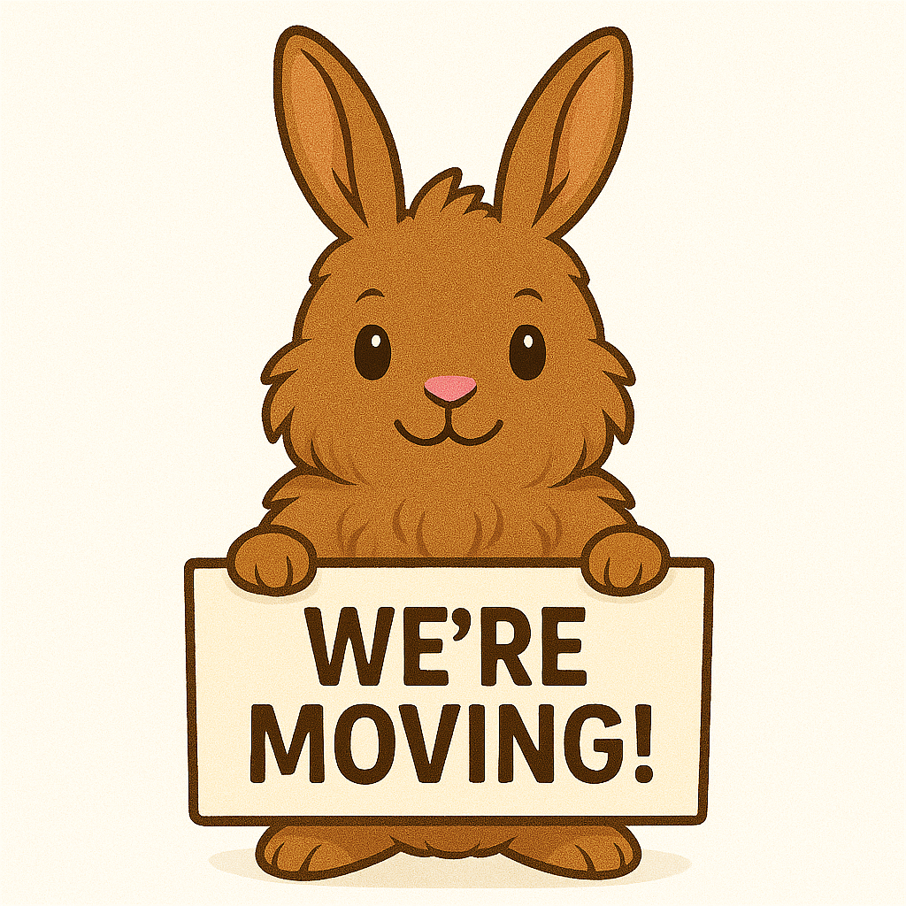 English Angora Rabbits for Sale | Wool & Breeding Stock