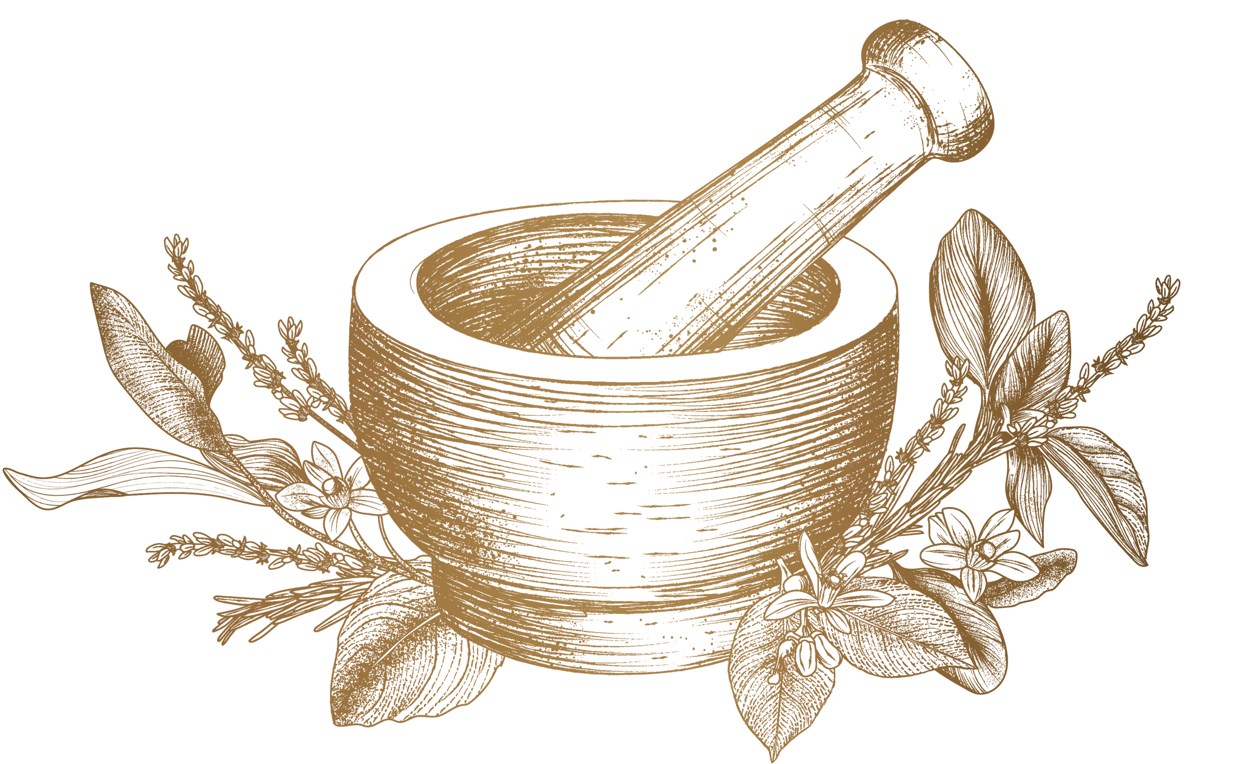 Prequel & Co. Apothecary