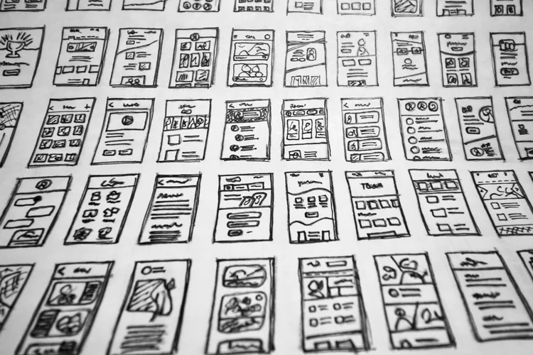 IB ESS IA Format and Structure (2025): Layout Guide — Think Smart