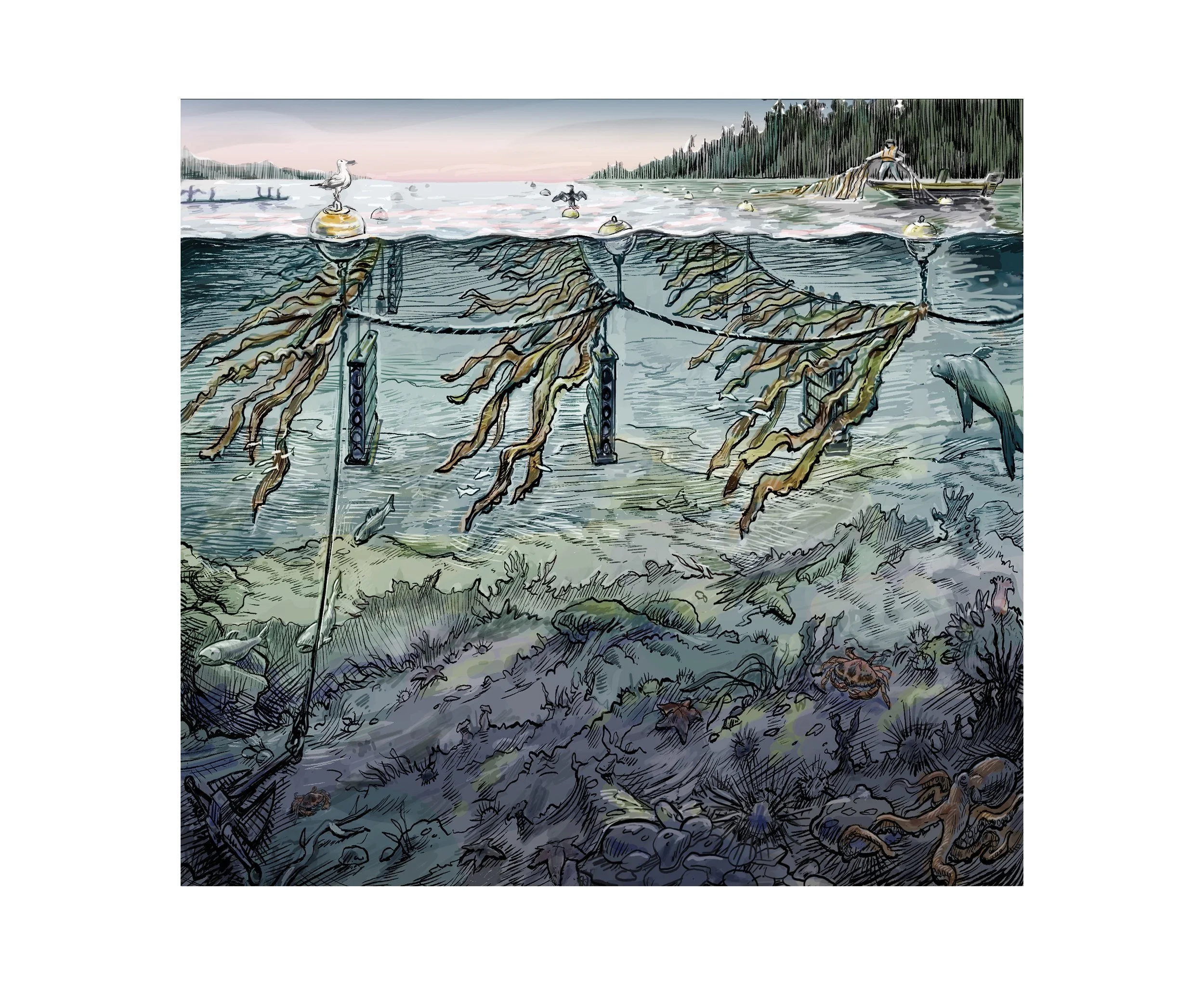 About — Pacific Sea Farms
