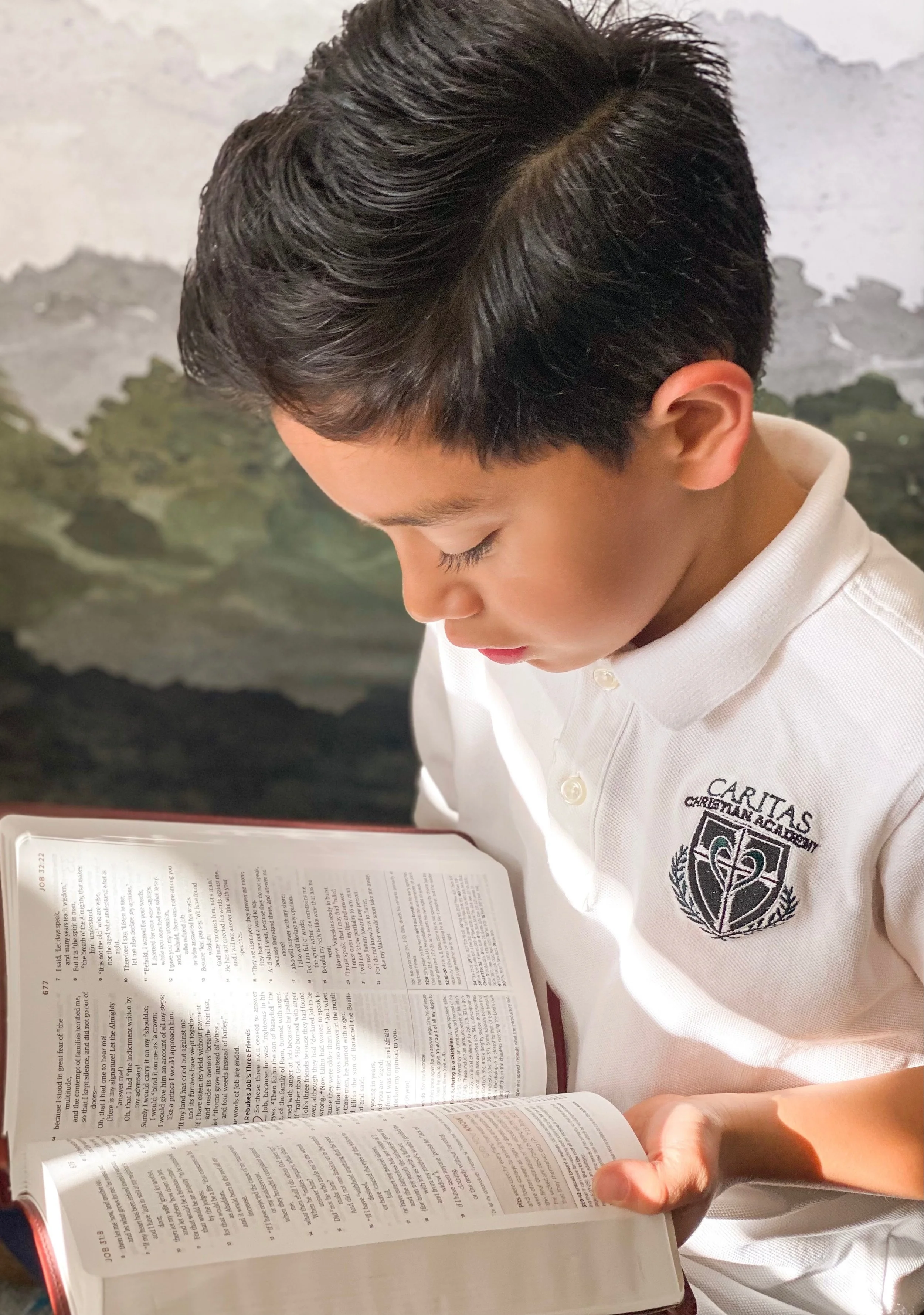 Vision and Mission Statements — Caritas Academy