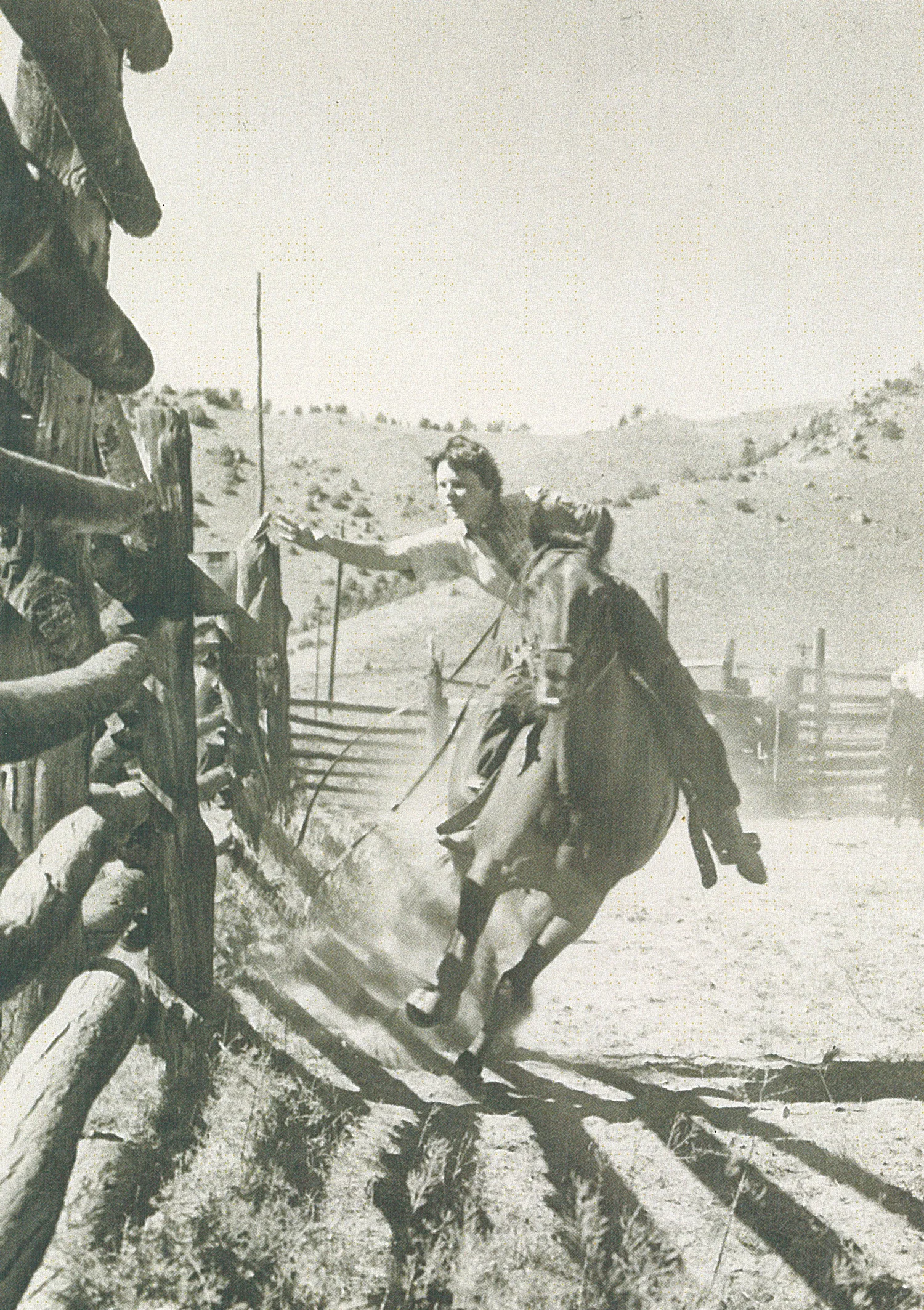 A Bar A Ranch, Wyoming — In Process — AVERY COX DESIGN