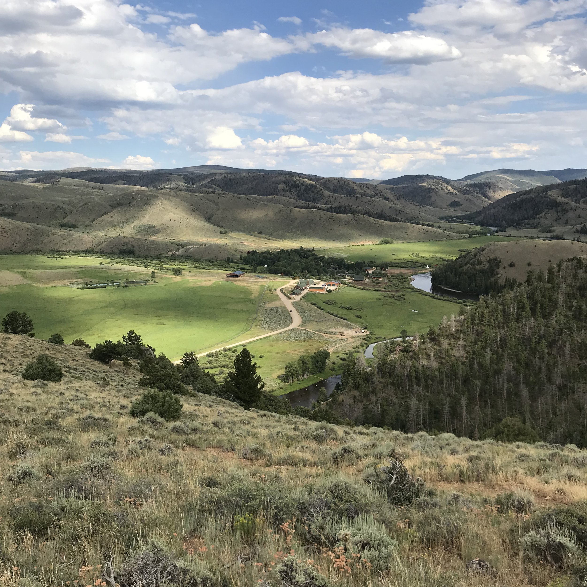 A Bar A Ranch, Wyoming — In Process — AVERY COX DESIGN
