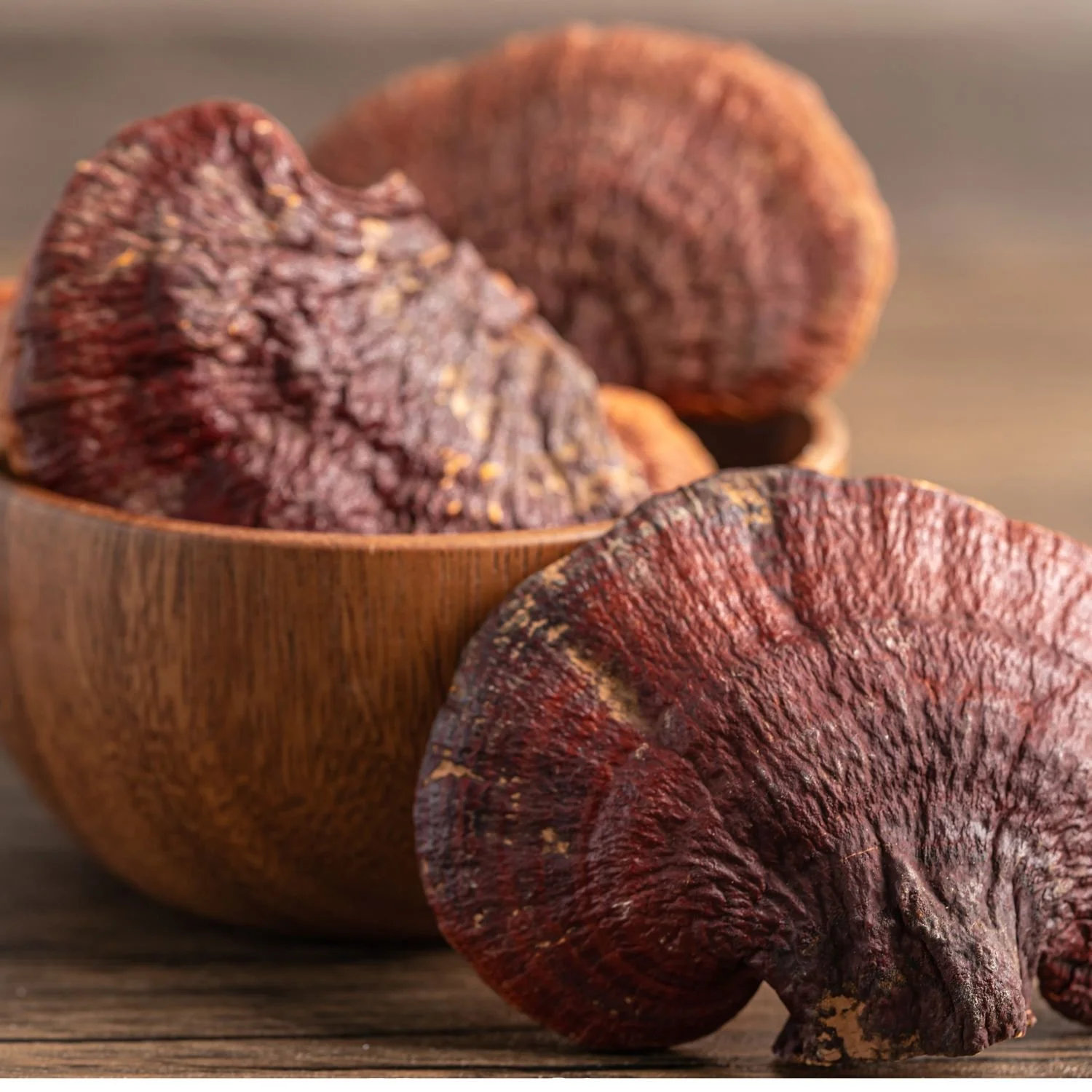 One Fungi — Our products