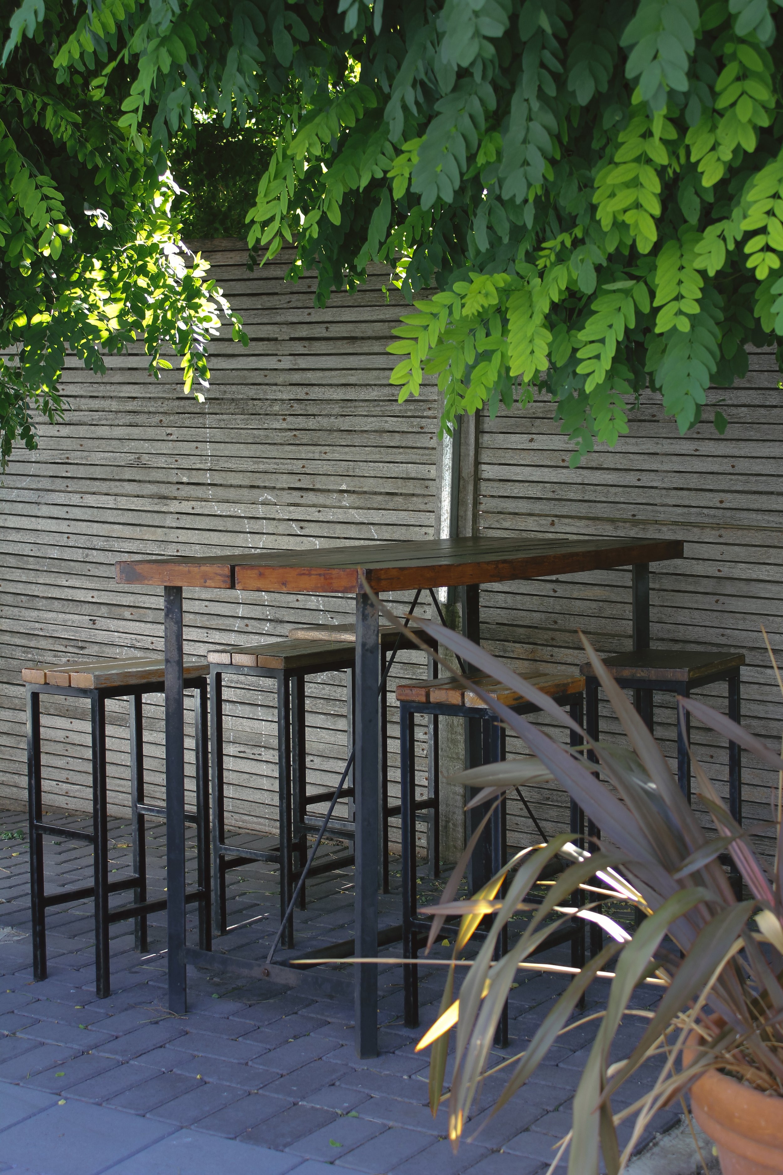 Olive's Pizza | Bar - Robe