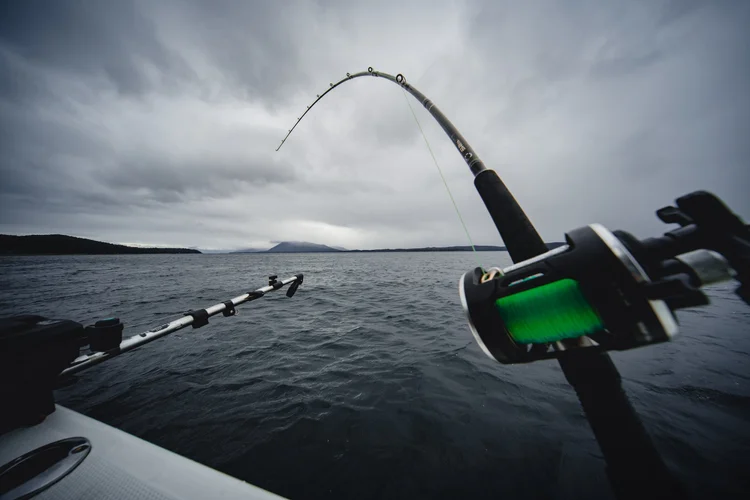 Fish TV Team — Fish TV