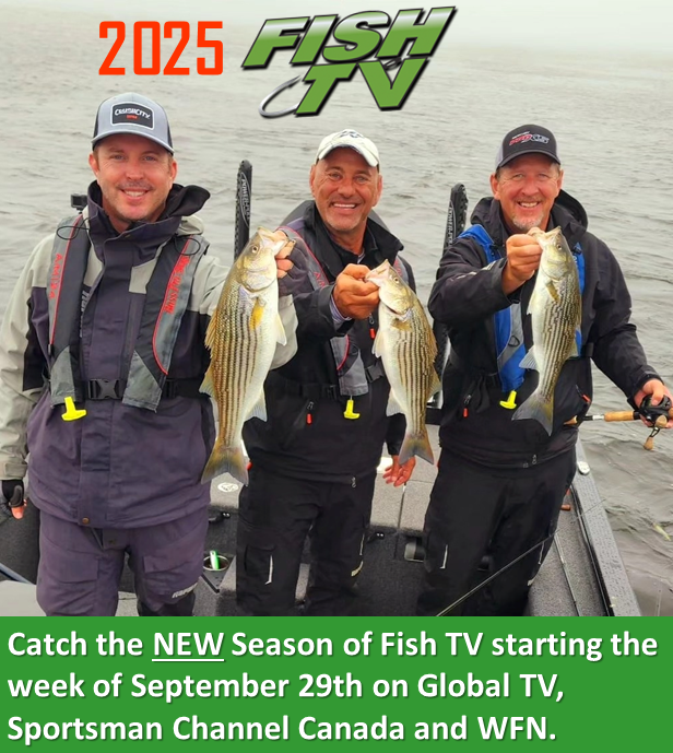 Fish TV