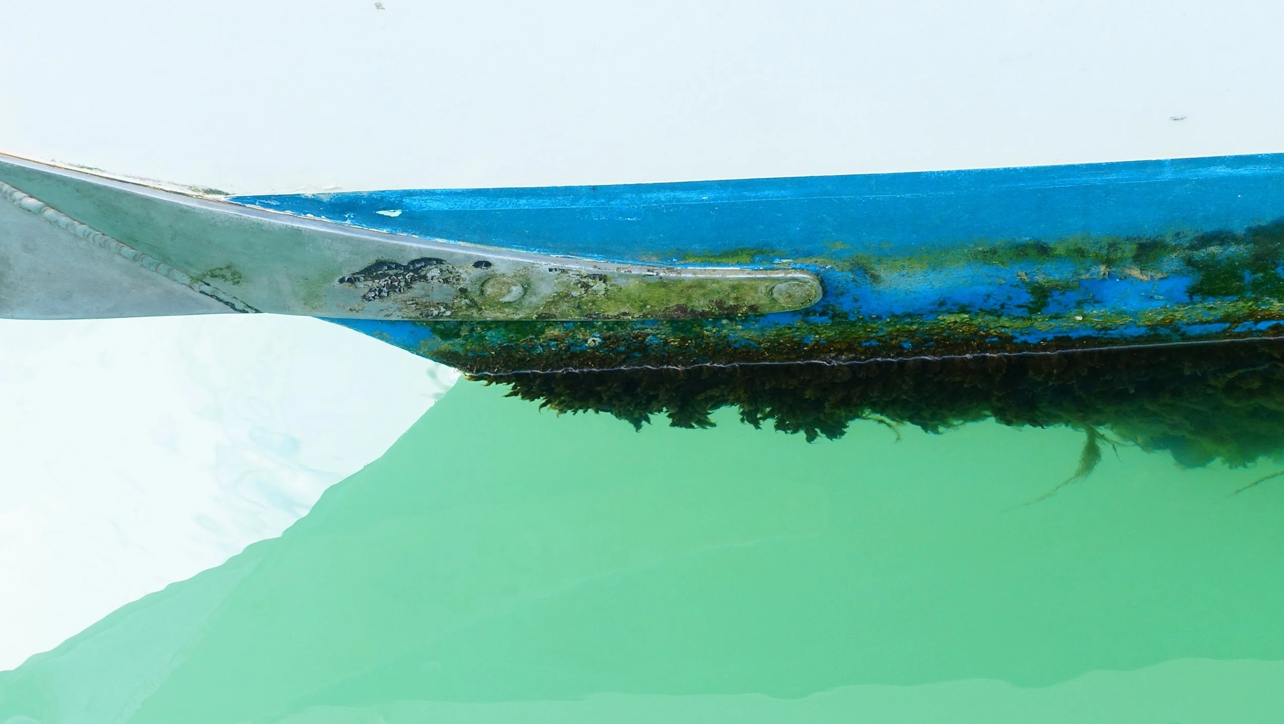 What is biofouling? — Clean Below? Good to go.