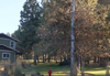 Guide to the Best Neighborhoods in Bend, Oregon — All Things Bend