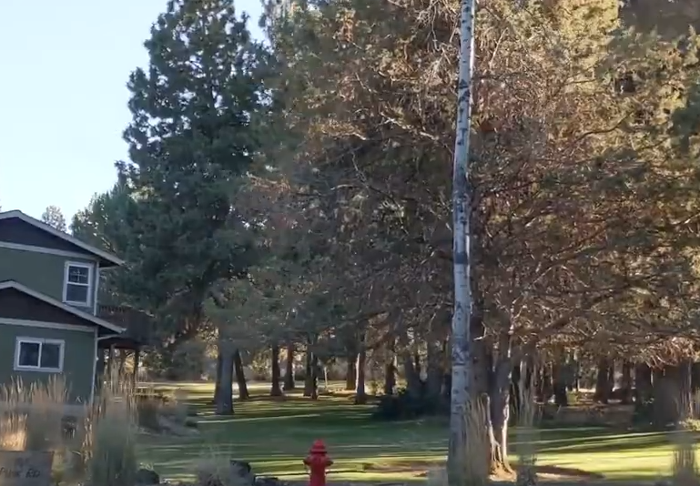 Guide to the Best Neighborhoods in Bend, Oregon — All Things Bend