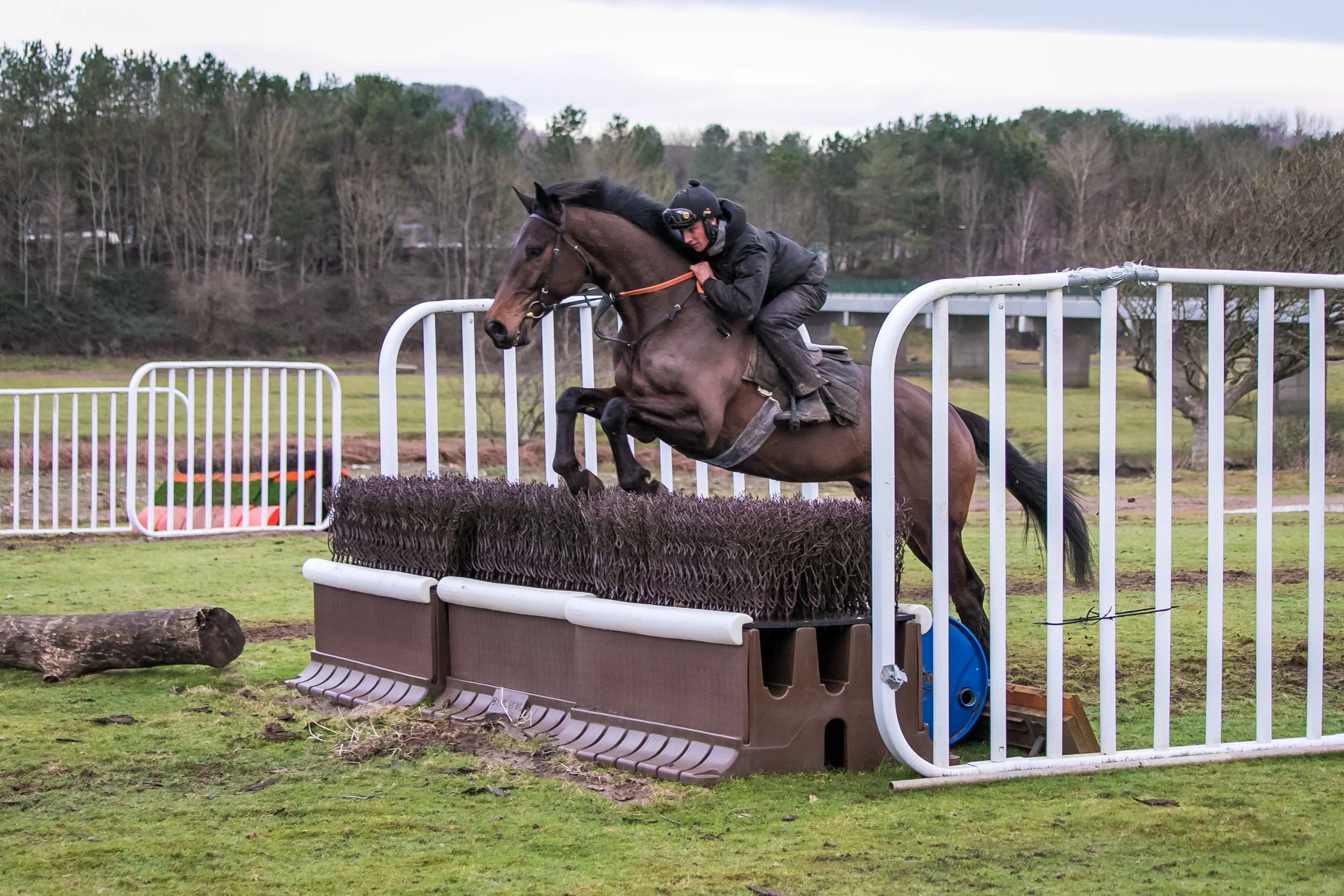 Ogmore Farm | A Unique Training Operation — Christian Williams Racing
