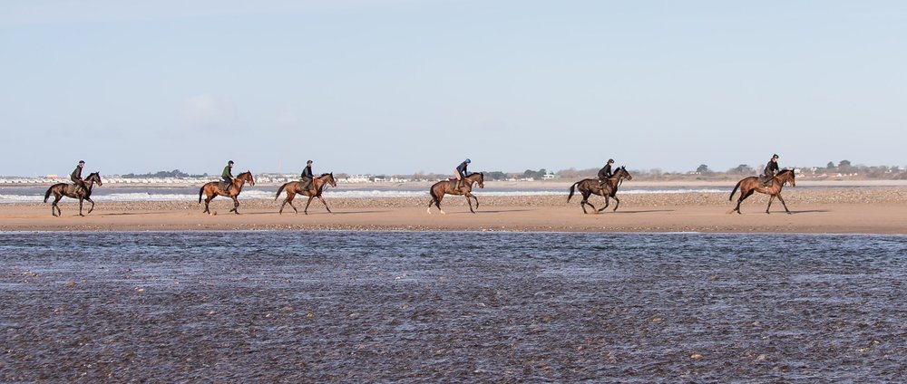 Gallery | Showcasing Success — Christian Williams Racing