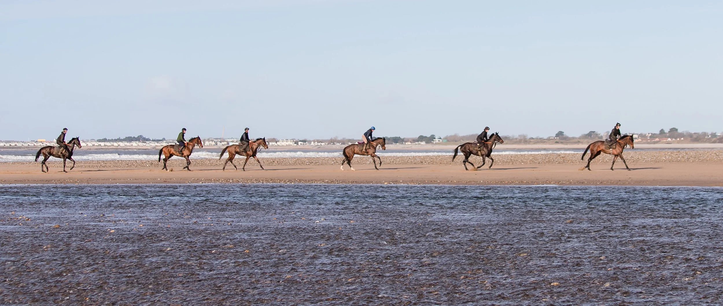 Gallery | Showcasing Success — Christian Williams Racing