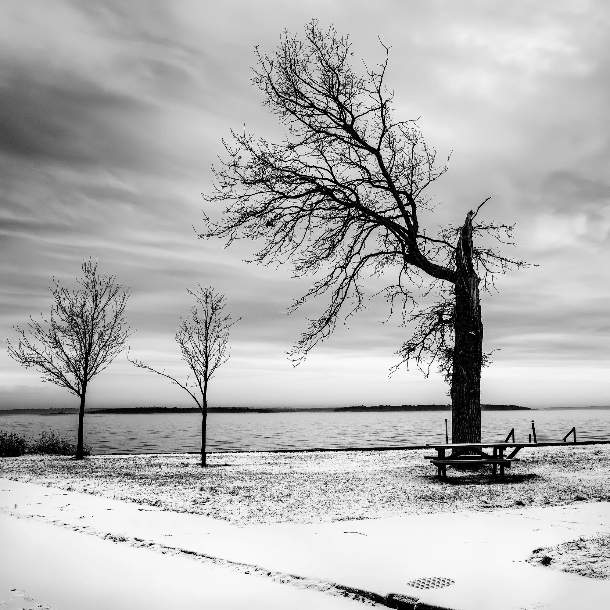 Reed Pike Photography