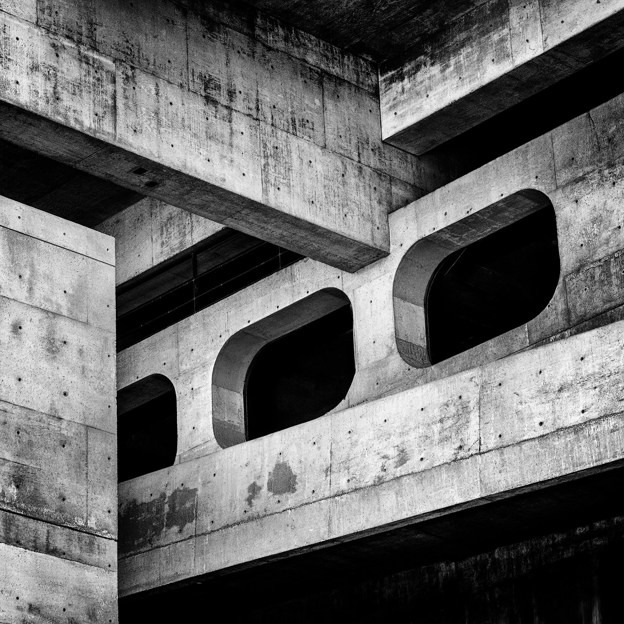 Reed Pike Photography