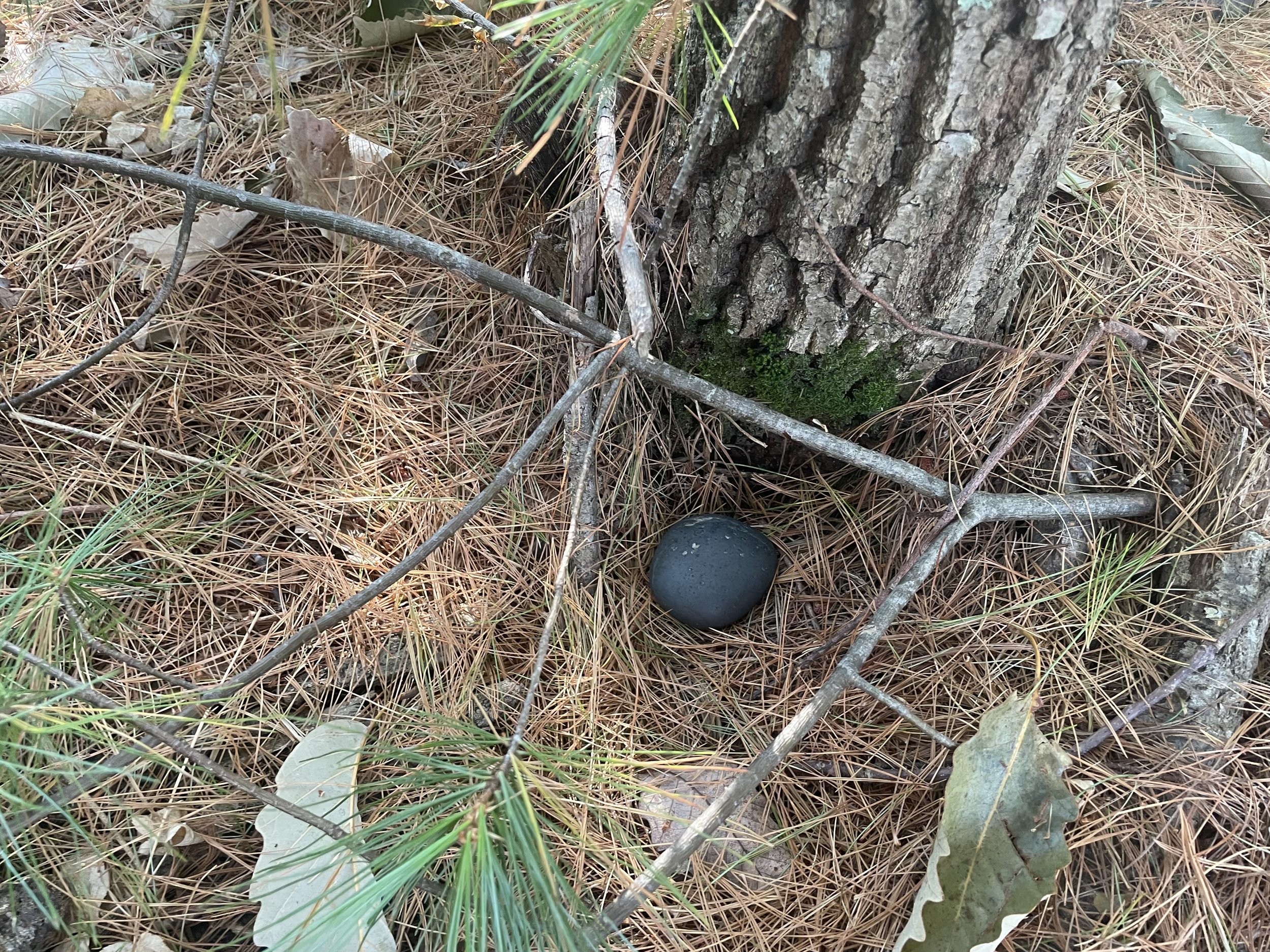 Stories & Photos — Jack Murphy Foundation