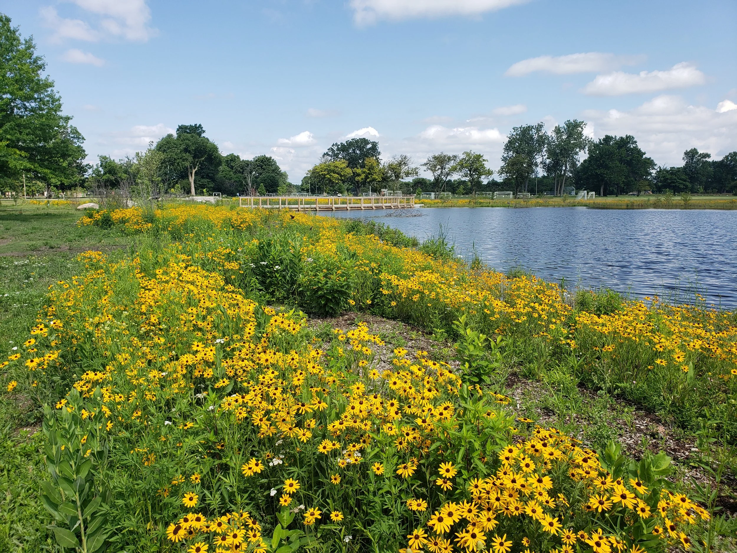 Detroit Parks Coalition