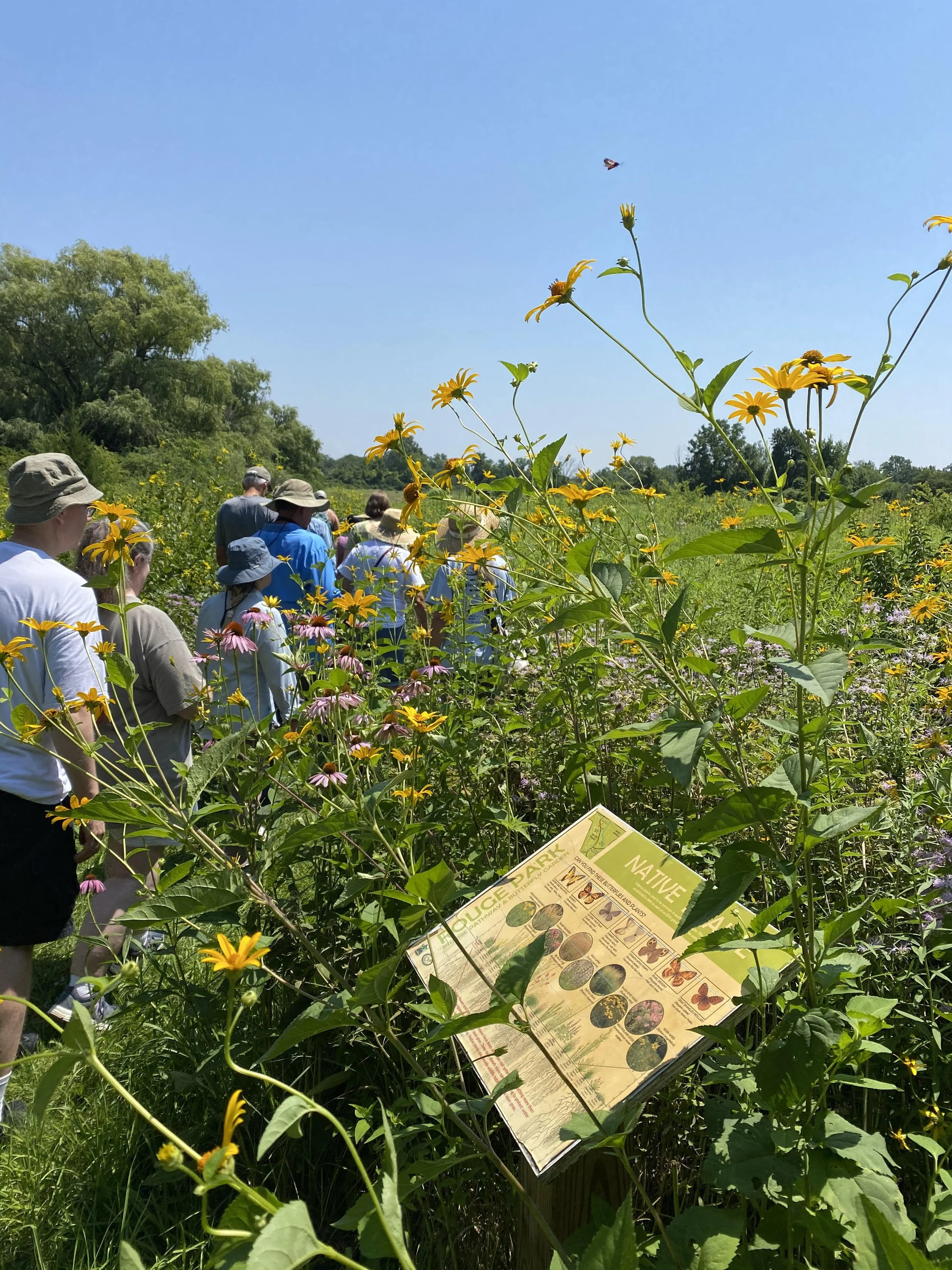 Detroit Parks Coalition
