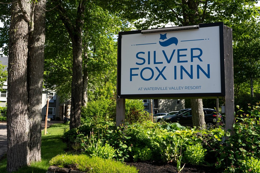 Gallery — Silver Fox Inn