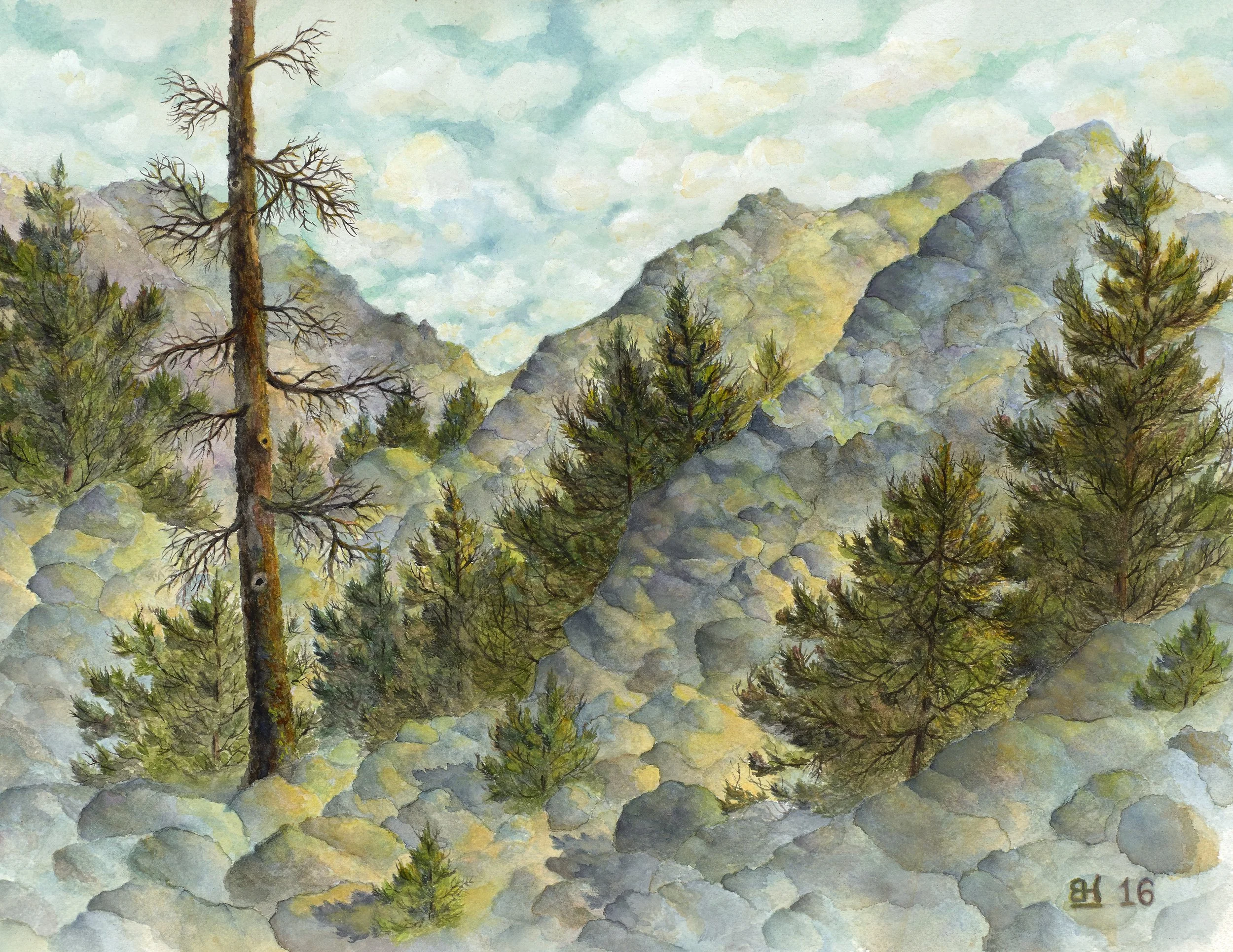 Events — Bison Head Galleries