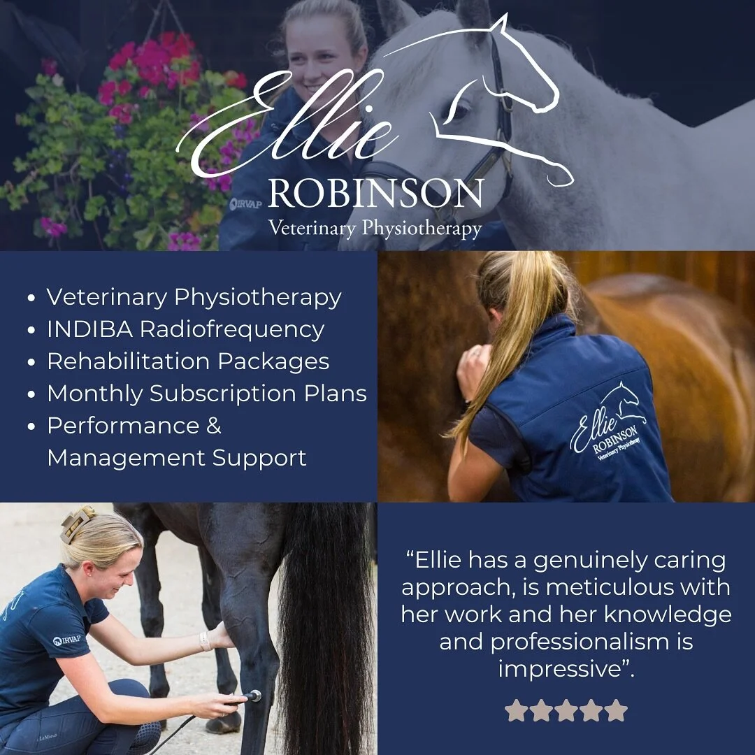 Ellie Robinson Veterinary Physiotherapy