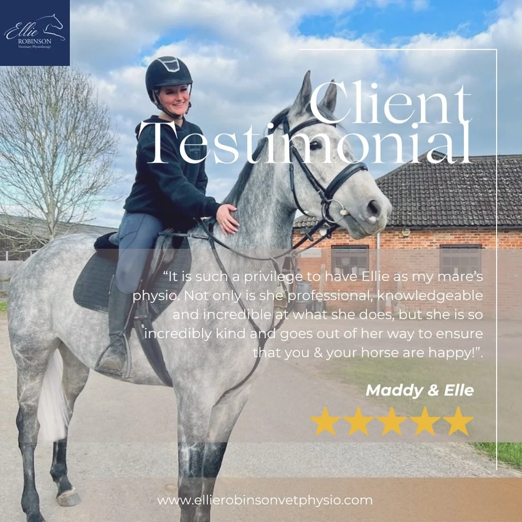 Ellie Robinson Veterinary Physiotherapy