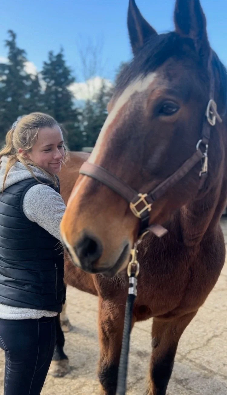 Equine Physiotherapy — Ellie Robinson Veterinary Physiotherapy