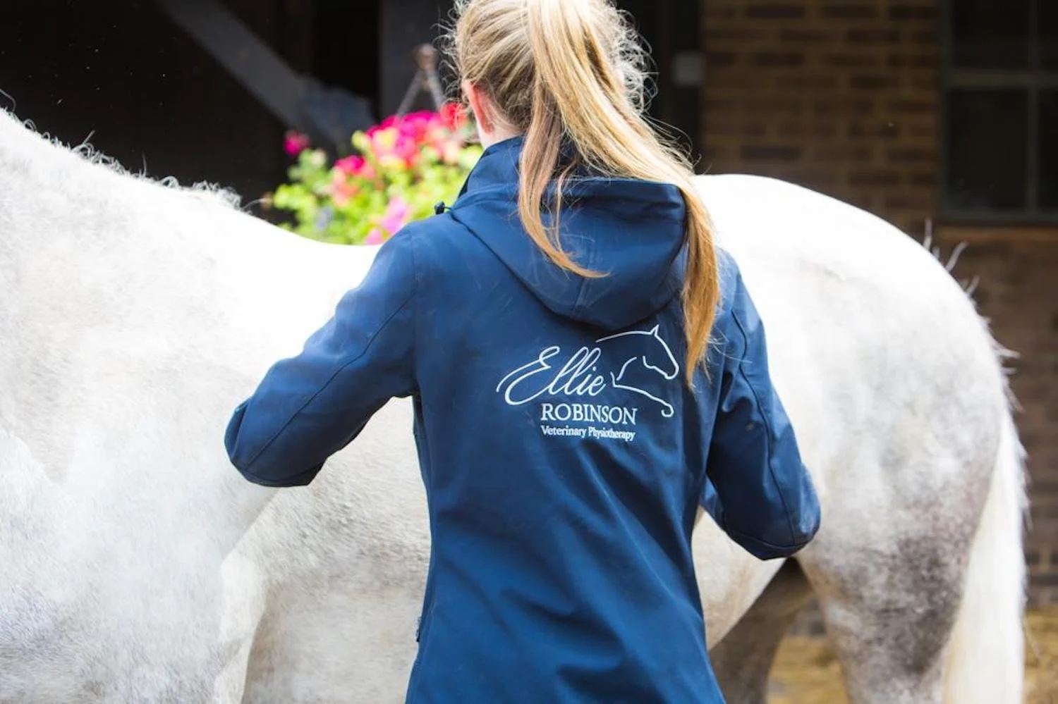 Prices & Packages — Ellie Robinson Veterinary Physiotherapy