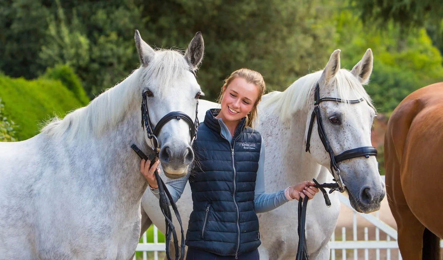 About — Ellie Robinson Veterinary Physiotherapy