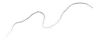 Gallery — Juniper & Jasmine