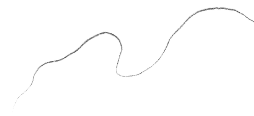 Gallery — Juniper & Jasmine