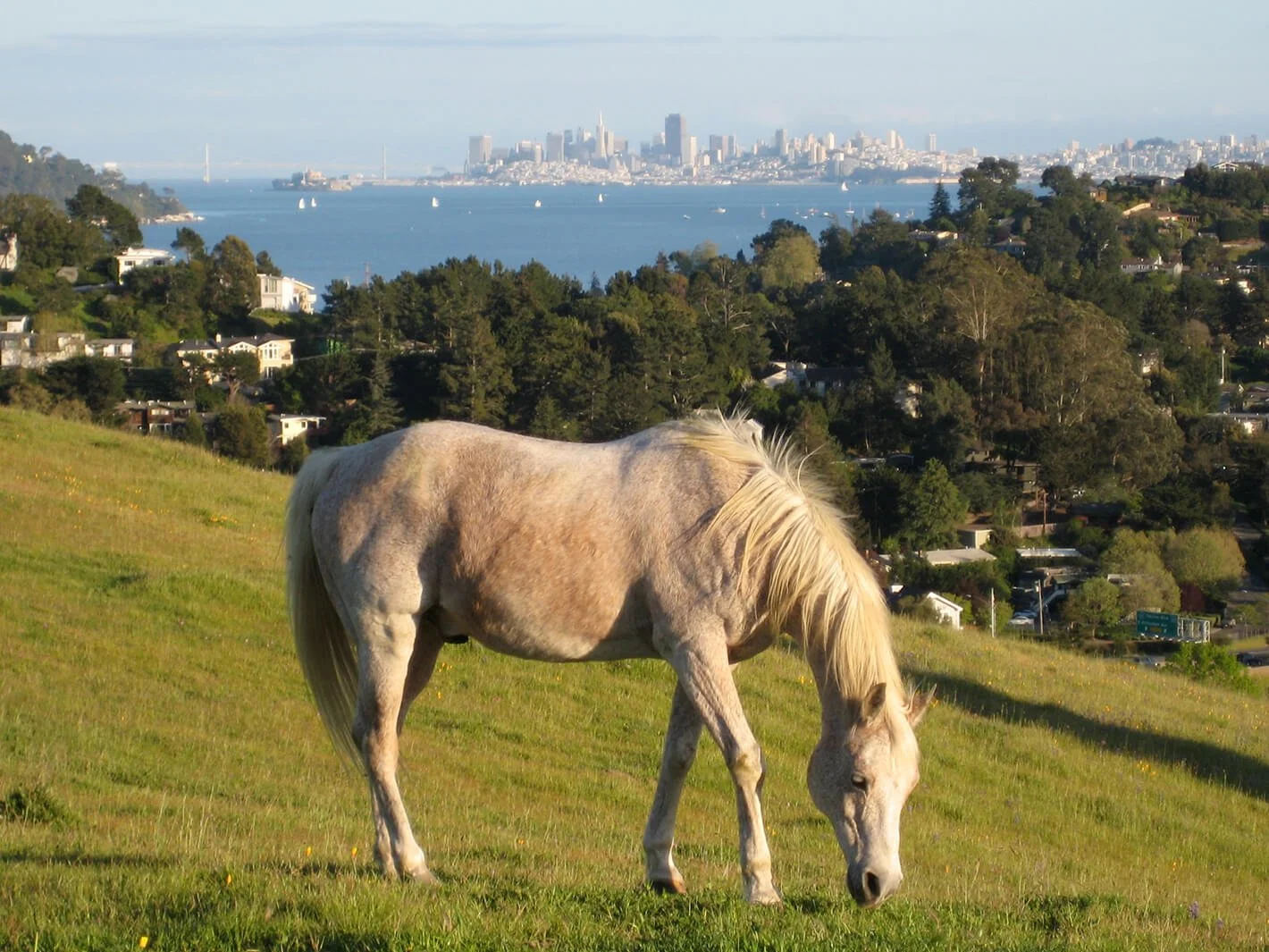 Horse Hill | Discover Horse Hill — Visit Today