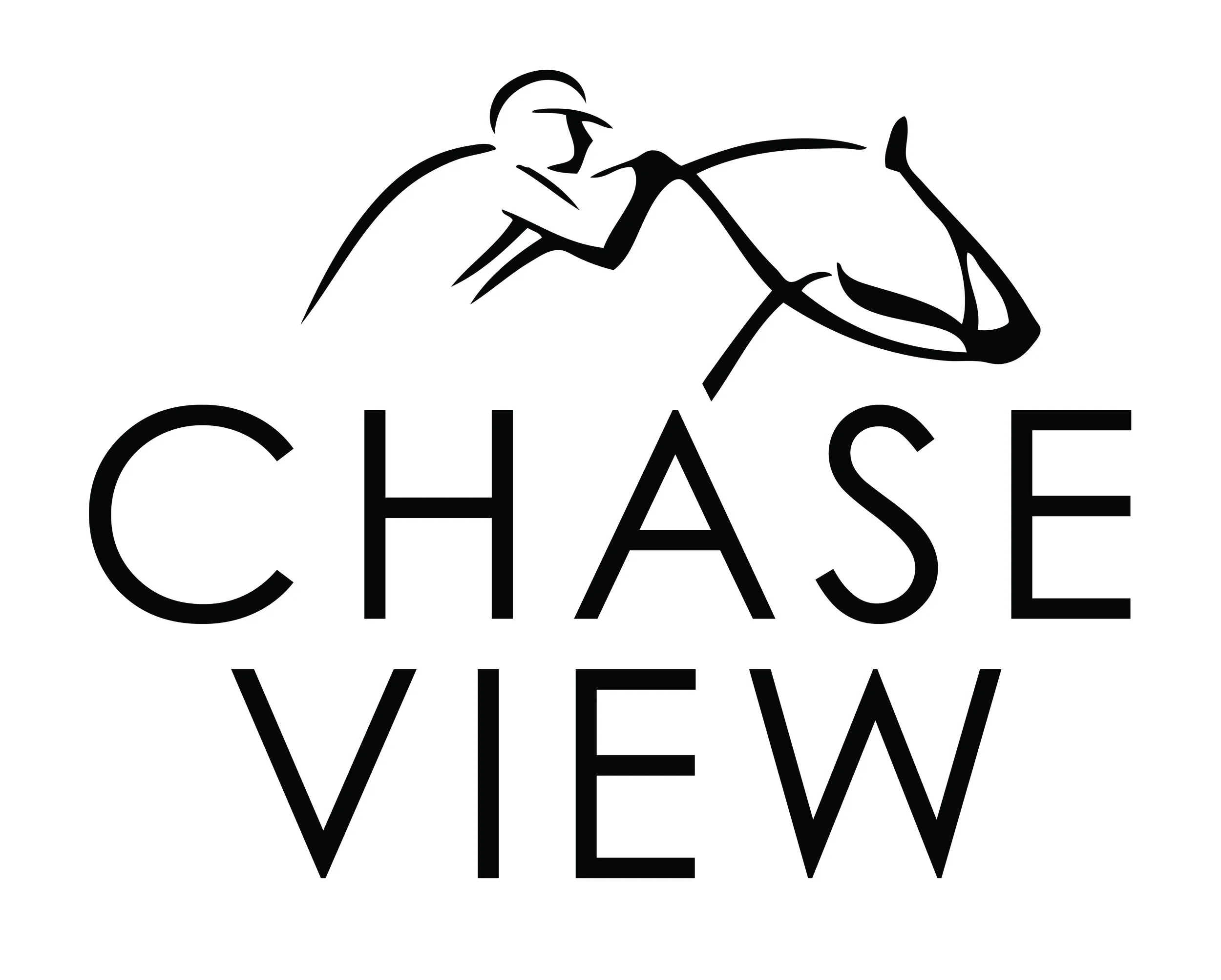 Chase View - Festival | Experience Unmatched Racing — Classic Racing