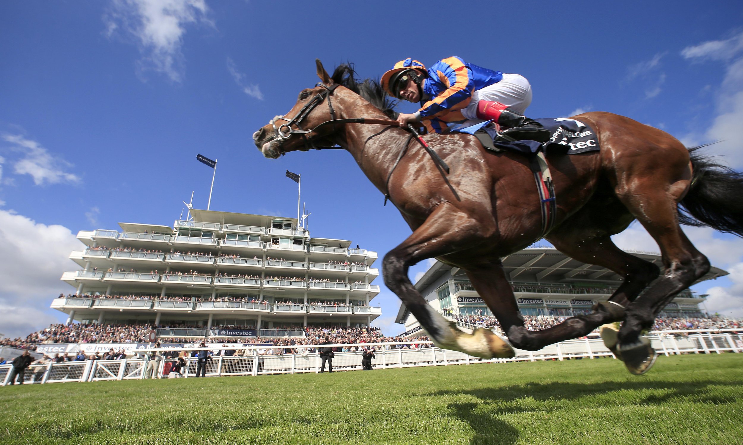 Epsom Racecourse | Discover Racing Thrills — Classic Hospitality
