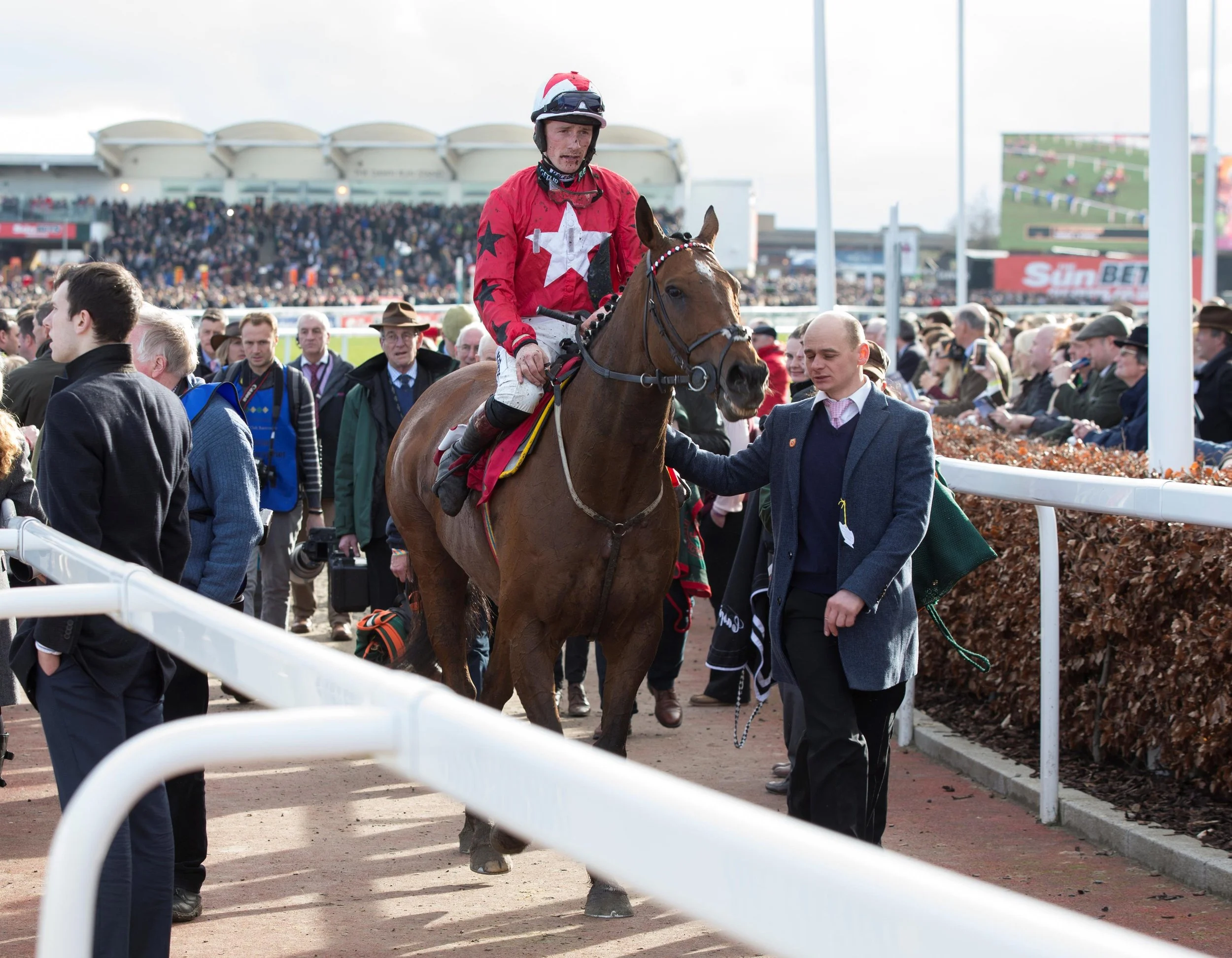 Cheltenham November - VIP marque | Experience VIP Racing — Classic ...