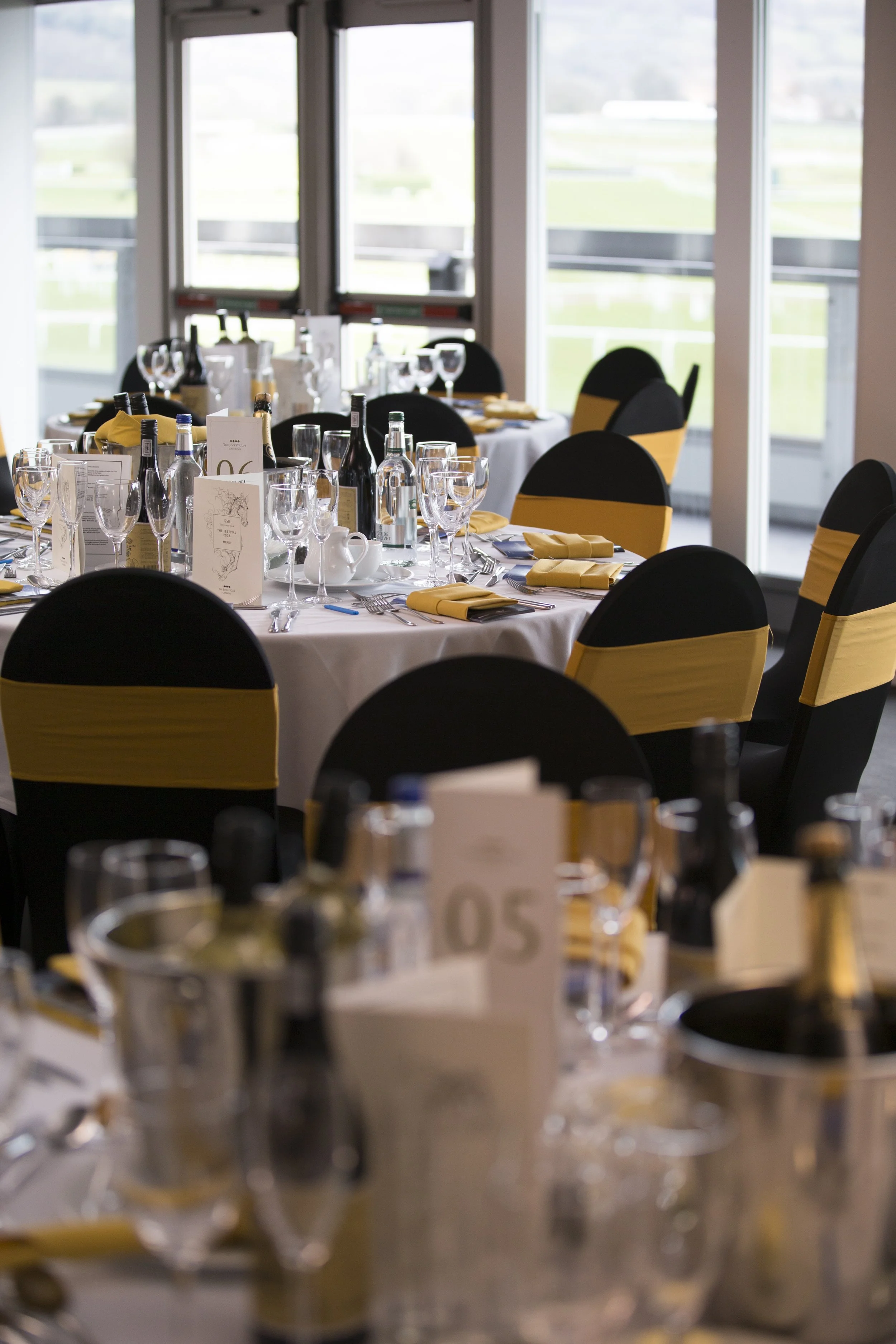 Chase View - Festival | Experience Unmatched Racing — Classic Racing