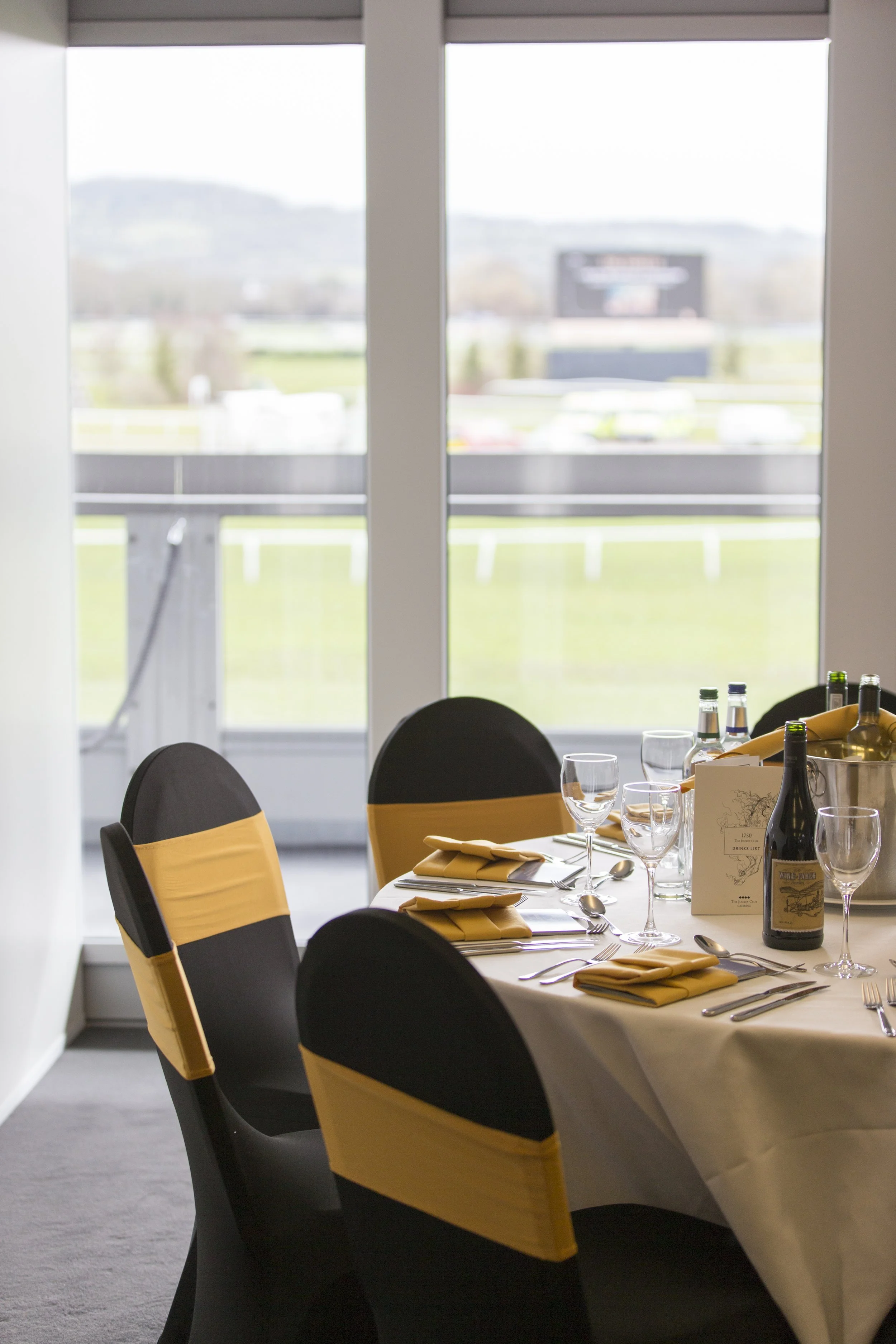 Chase View - Festival | Experience Unmatched Racing — Classic Racing