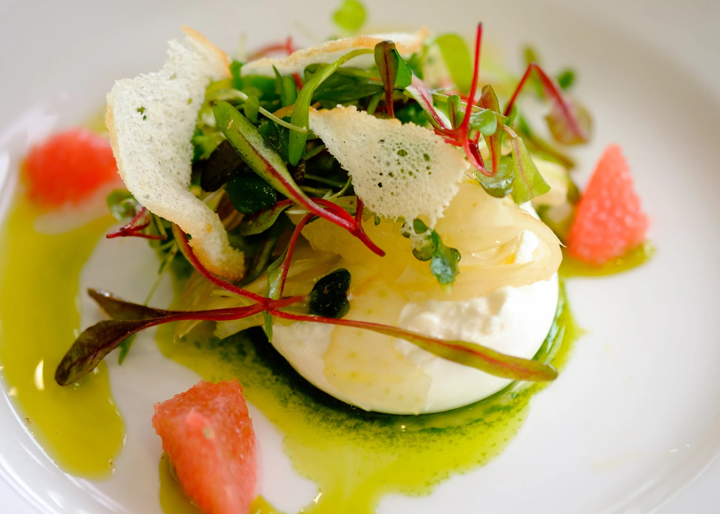 Stein's - Festival | Experience Racing Elegance — Classic Hospitality