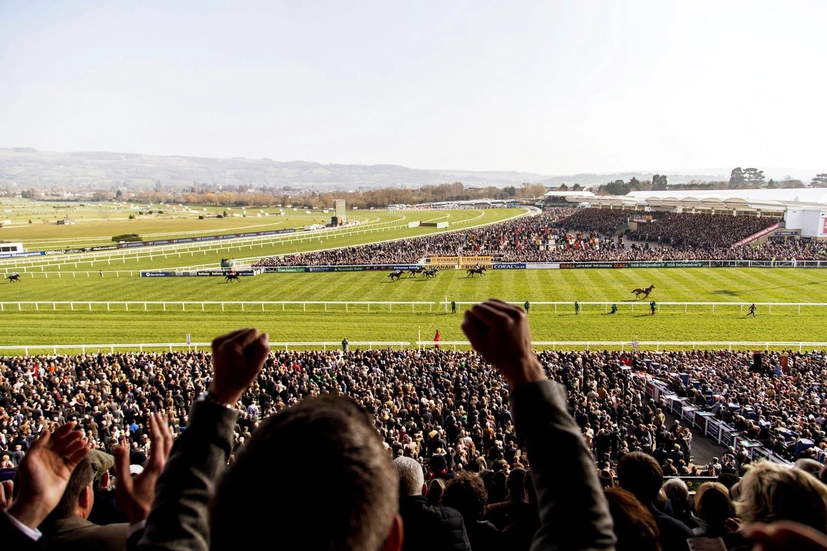 Cheltenham Racecourse | Experience the Thrill — Classic Hospitality