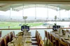 Cheltenham Racecourse | Experience the Thrill — Classic Hospitality