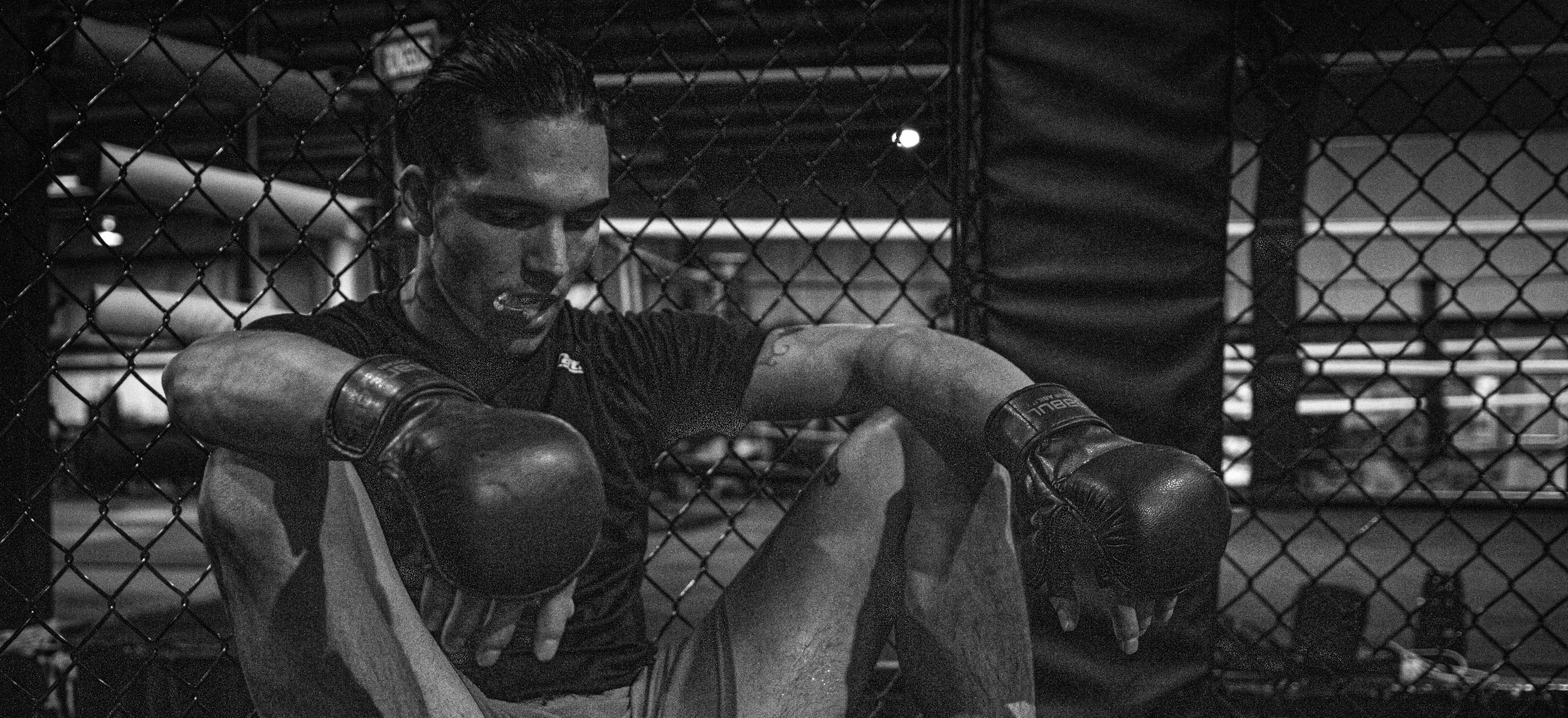 MAD MAX FIGHT TEAM — MAD MAX METZGAR