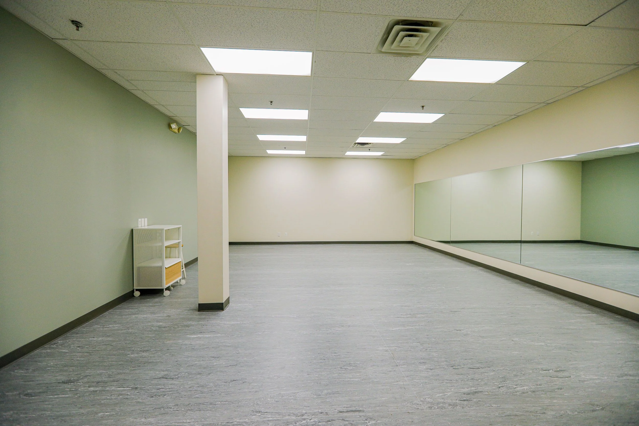 Services 4 — Alliance Dance Studio