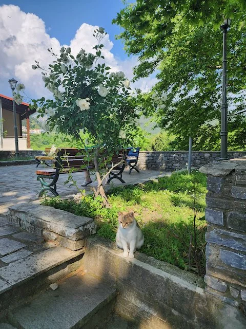 Litochoro, Greece - the gateway to Mount Olympus — Solo Female Wanderer