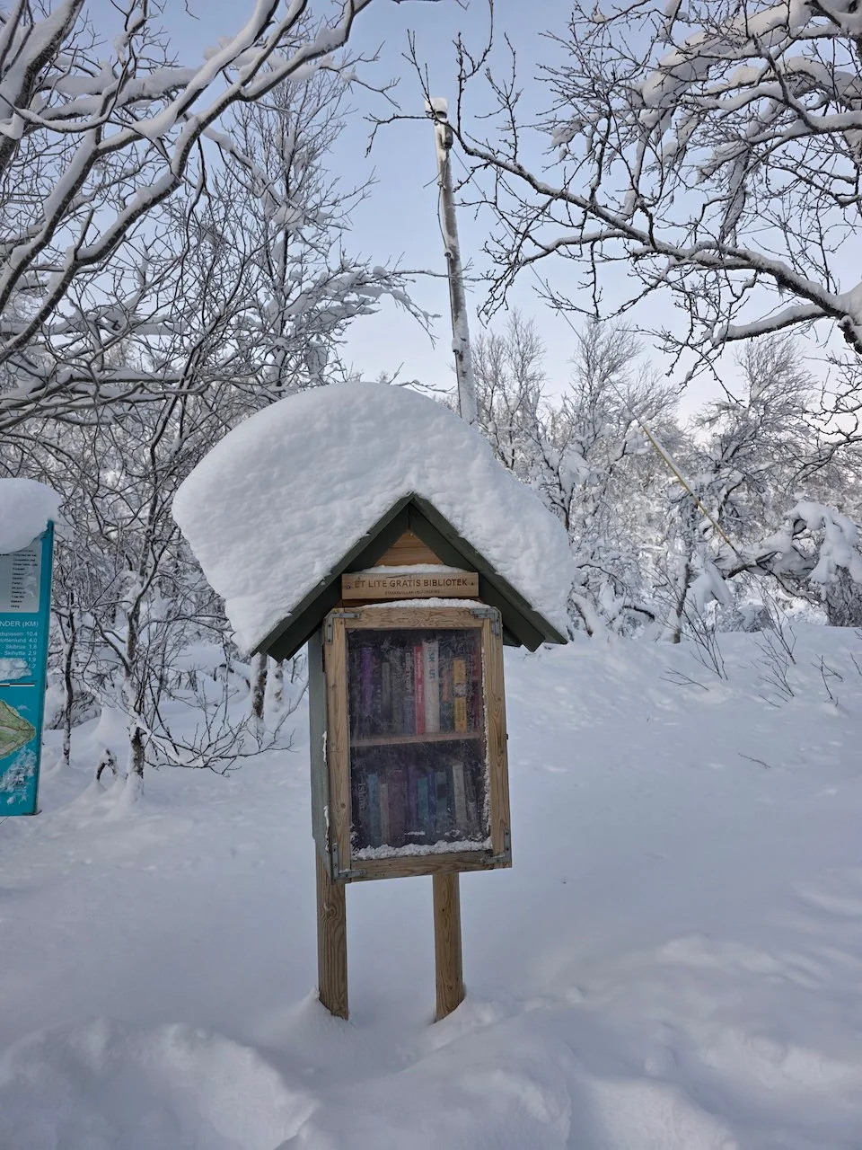 Tromsøya cross-country skiing — Solo Female Wanderer