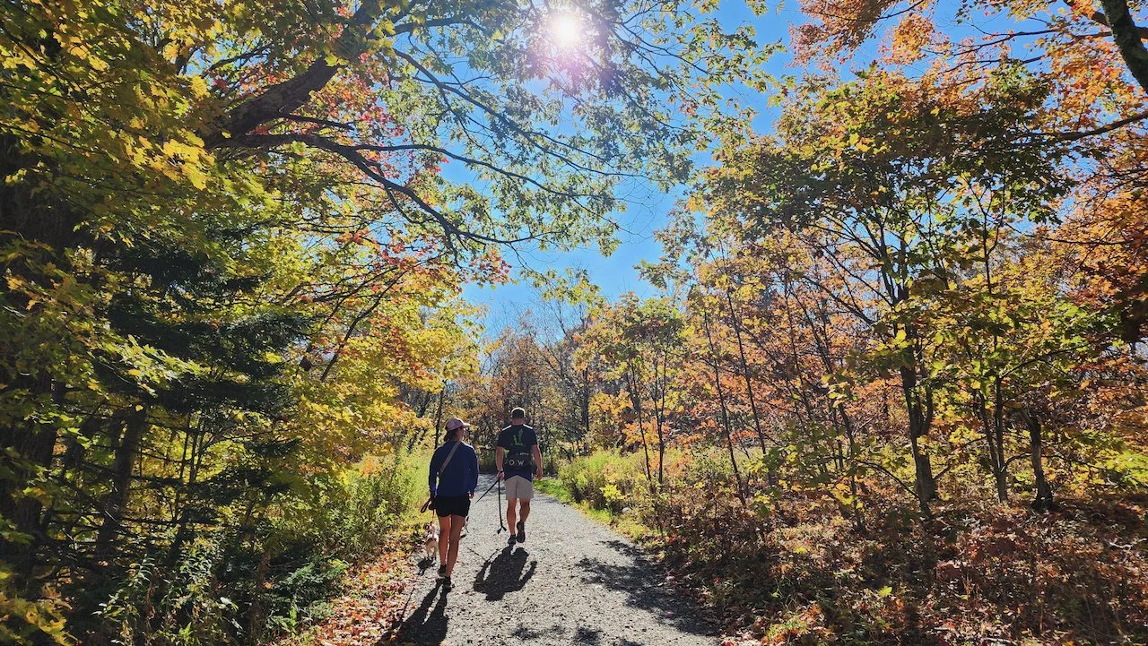 Stoney Ledge (Berkshires hiking) — Solo Female Wanderer